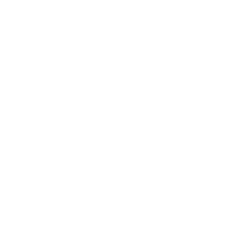 Magna ECS Simulation Conference 2025