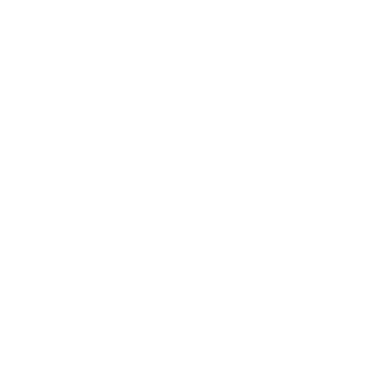 Magna ECS Simulation Conference 2025