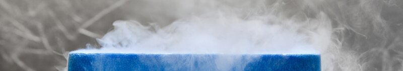 Magna ECS Simulation Conference 2025